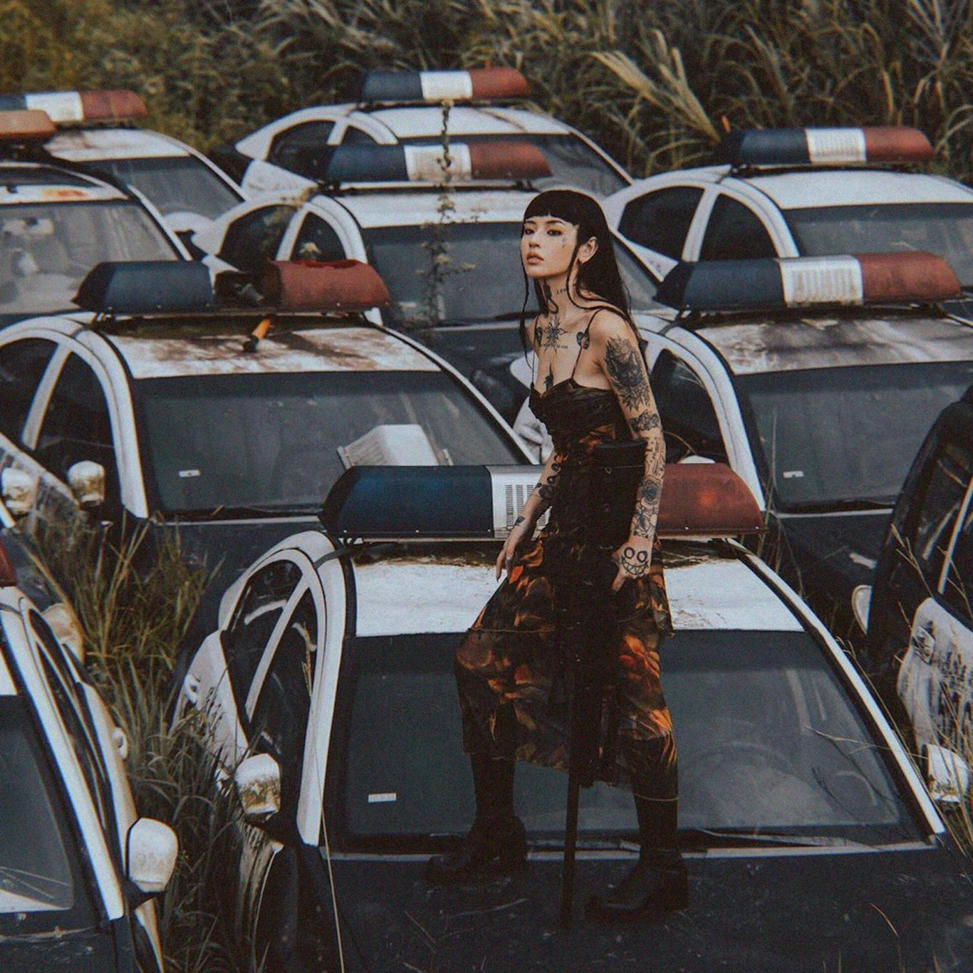 Music – HAARPER.NET